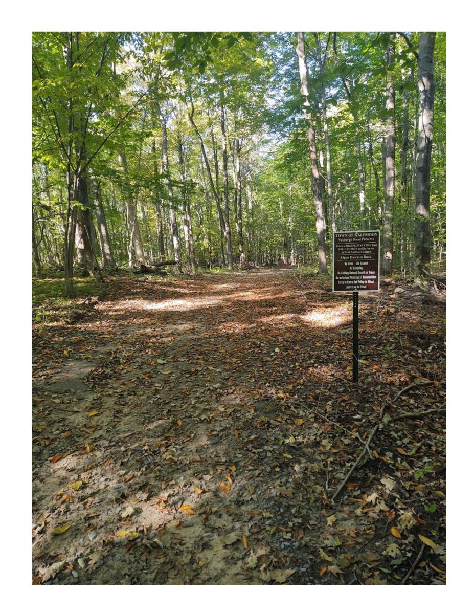 Vosburgh Preserve | Halfmoon NY