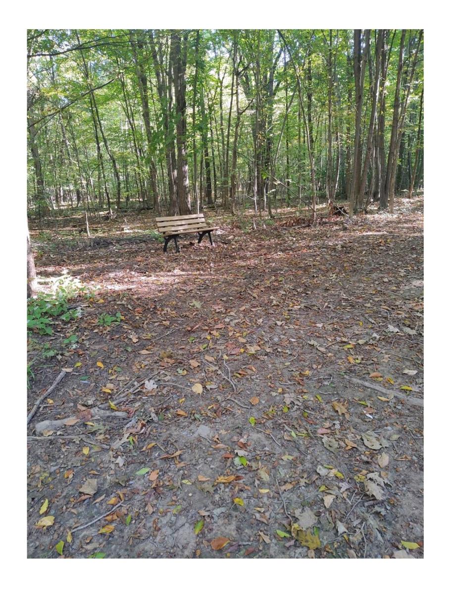 Vosburgh Preserve | Halfmoon NY