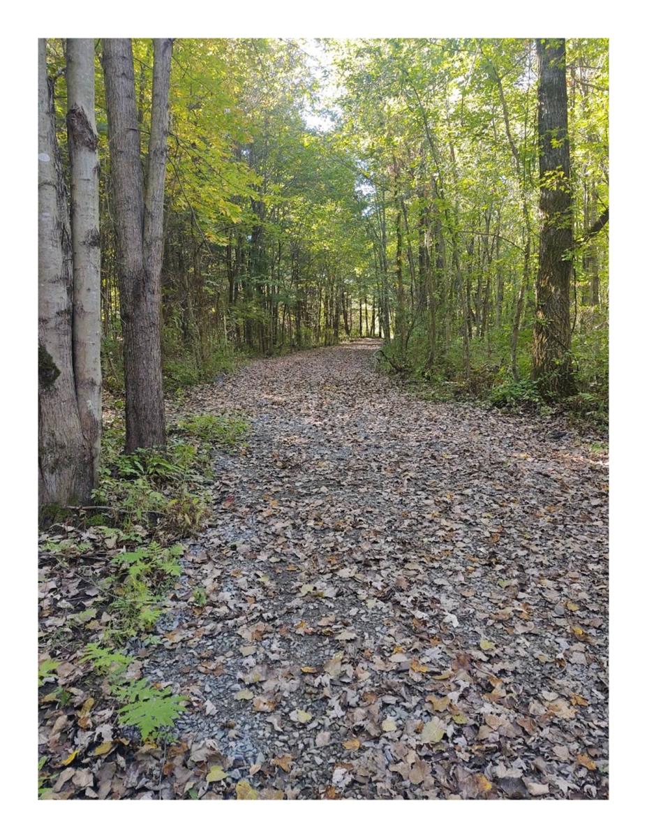 Vosburgh Preserve | Halfmoon NY